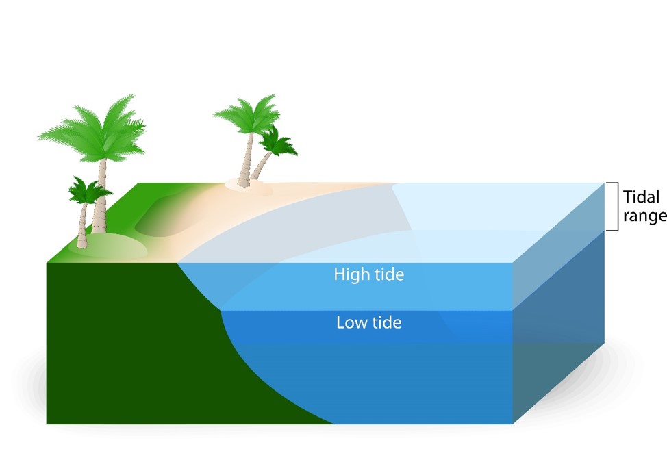 Glossary & Videos: Glossaries Search